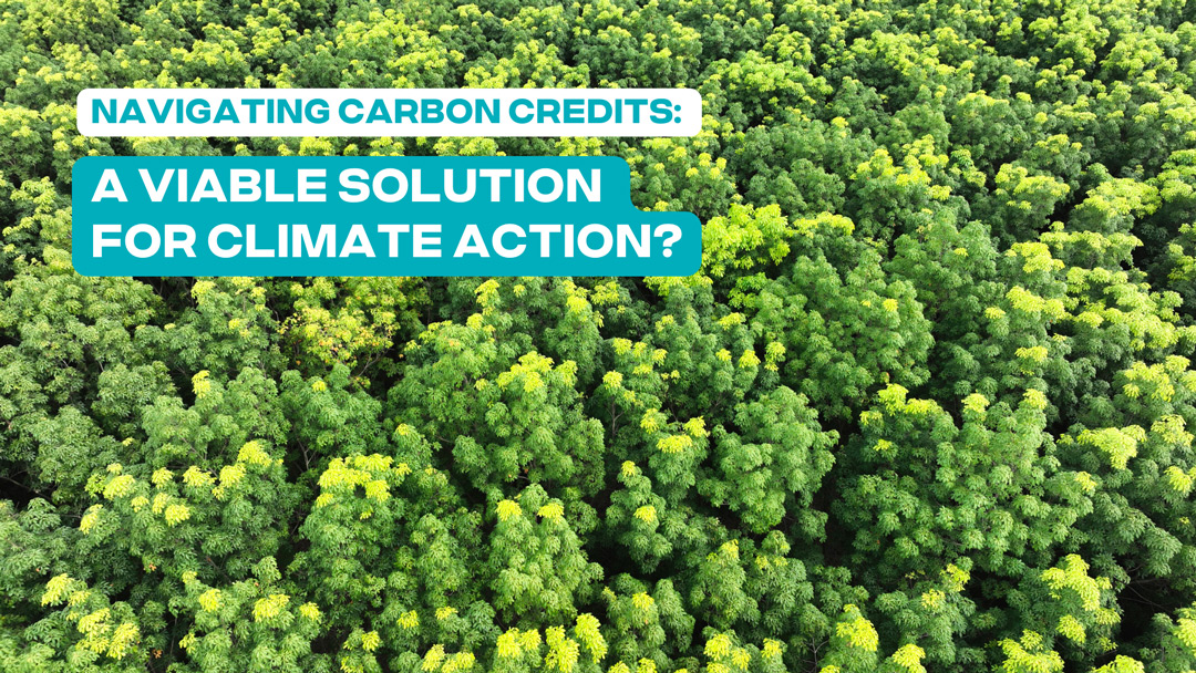 Navigating Carbon Credits: A Viable Solution for Climate Action ...
