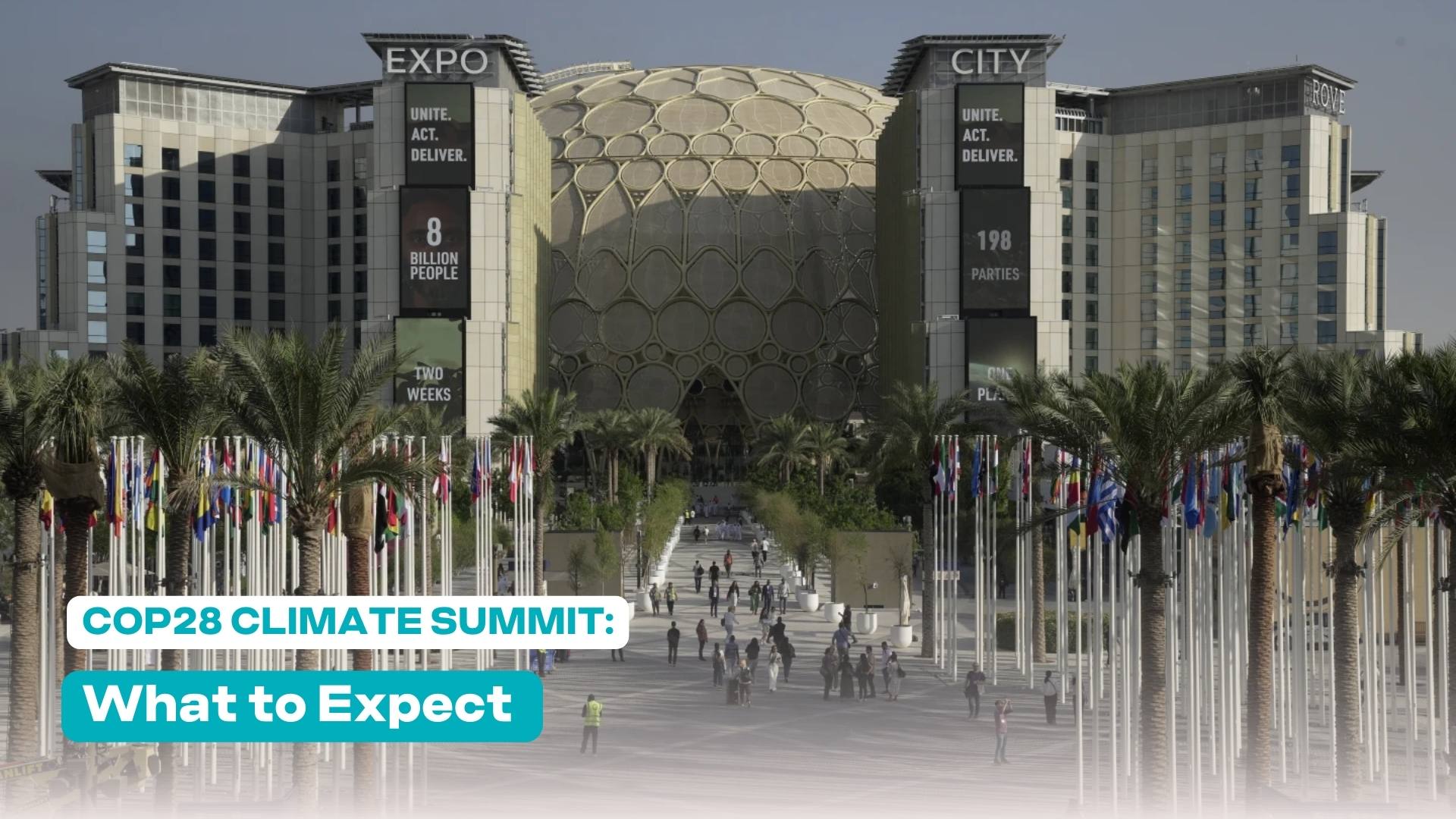 COP28: What to Expect as UN Climate Talks Get Underway - BillionAir