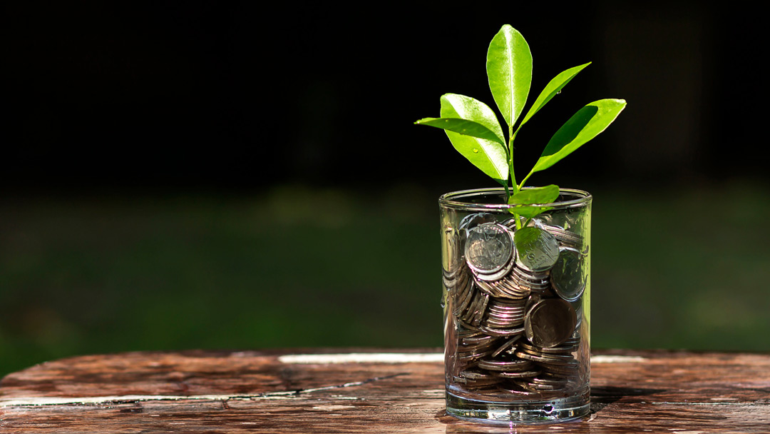 Carbon Credits for Businesses: A Strategic Guide to Reaching Net-Zero ...